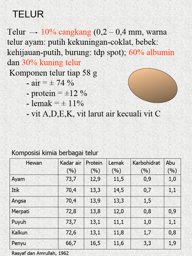 Bagian I Telur | PDF