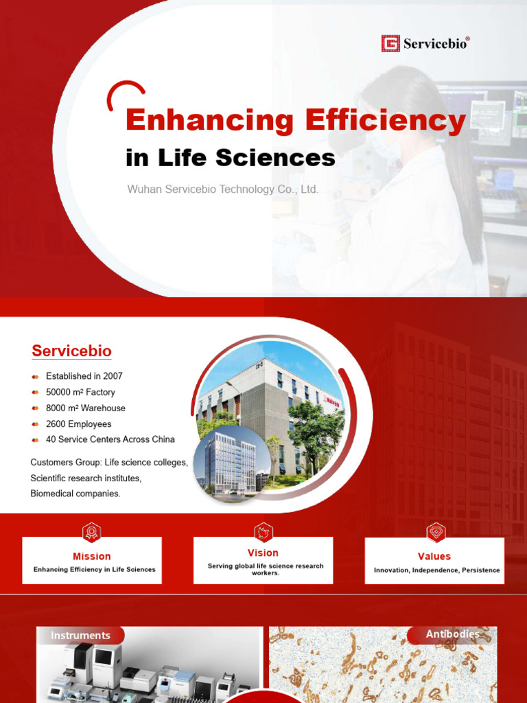 Servicebio Company Introduction (Compressed) | PDF | Agarose Gel Electrophoresis | Monoclonal ...