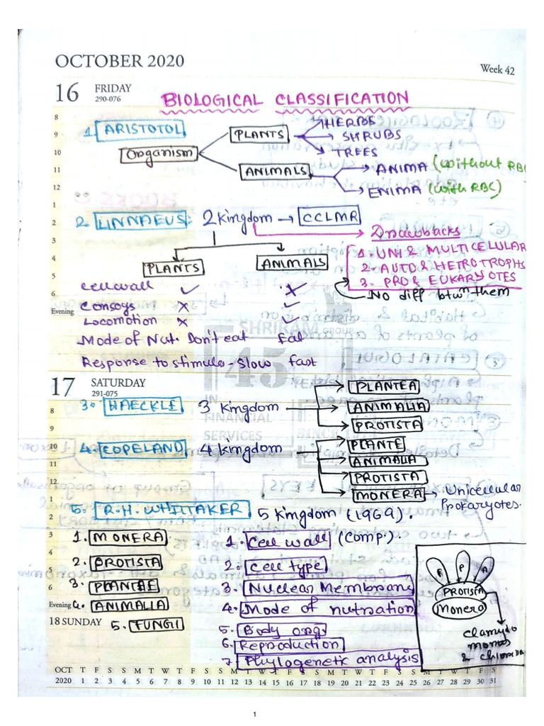 Biological Classification Notes Hand Written Notes @g2 | PDF