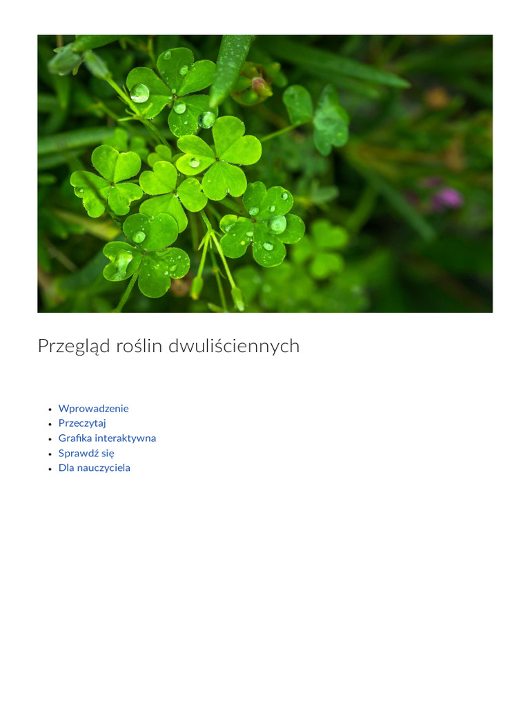 Przeglad Roslin Dwulisciennych | PDF Przeglad Roslin Dwulisciennych | PDF