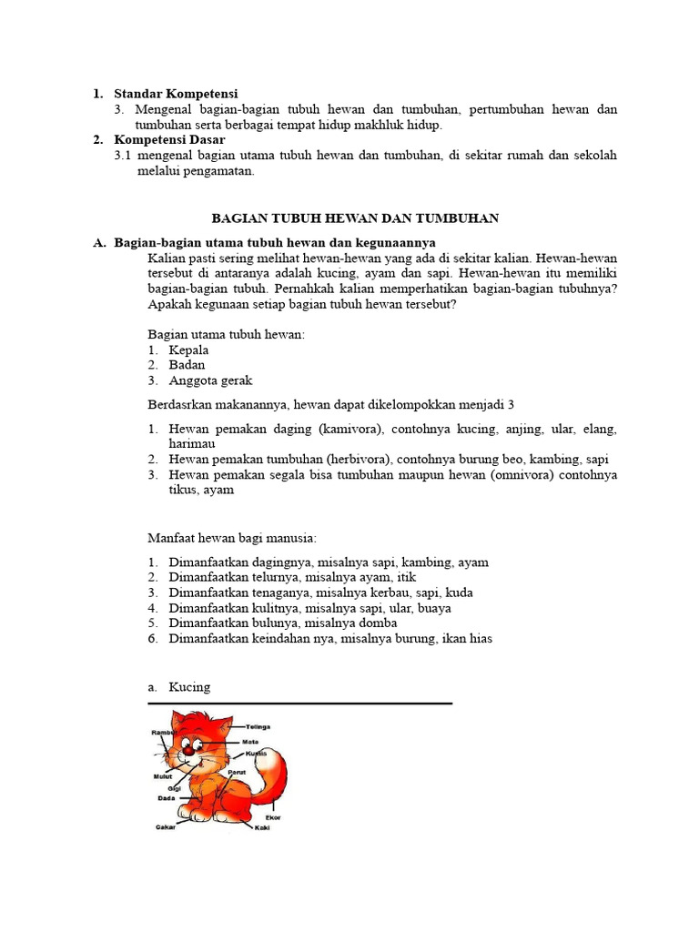 Bahan Ajar - Bu Yani | PDF | Sains & Matematika