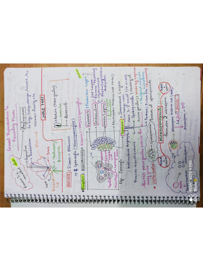 Botany CH 1 Handwritten Notes | PDF