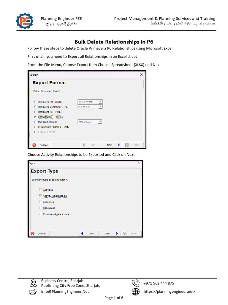 Delete Relationships in Primavera P6 | PDF | Microsoft Excel | Software