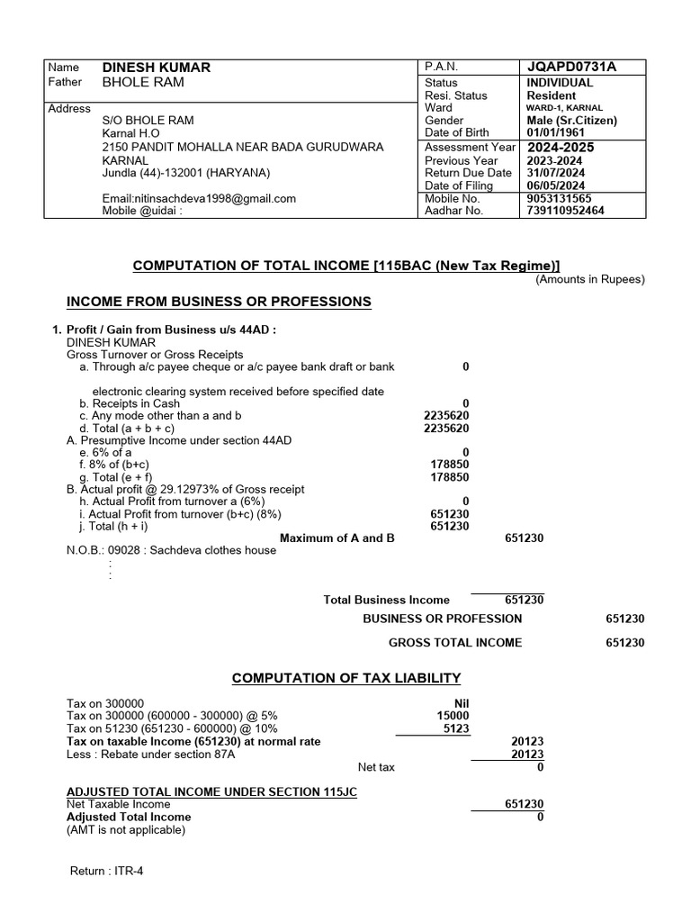 Dinesh Kumar Comp 2024-25 | PDF | Income | Taxes