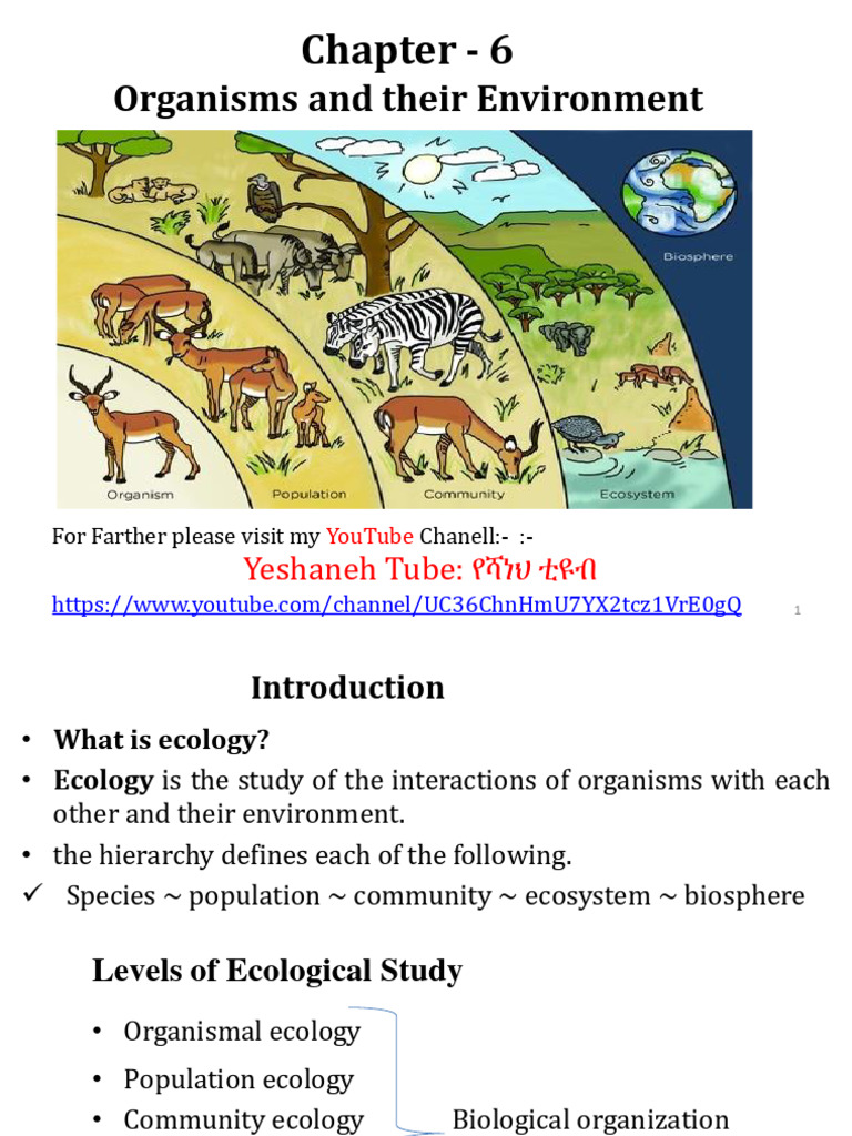 Ecology: Organisms and Their Environment | PDF | Ecology | Food Web