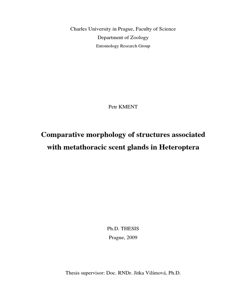 Metathoracic Scent Glands in Heteroptera | PDF | Phylogenetics ...