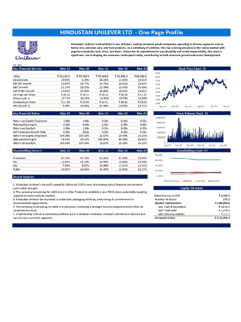 Financial Model Of HUL - PDF | PDF