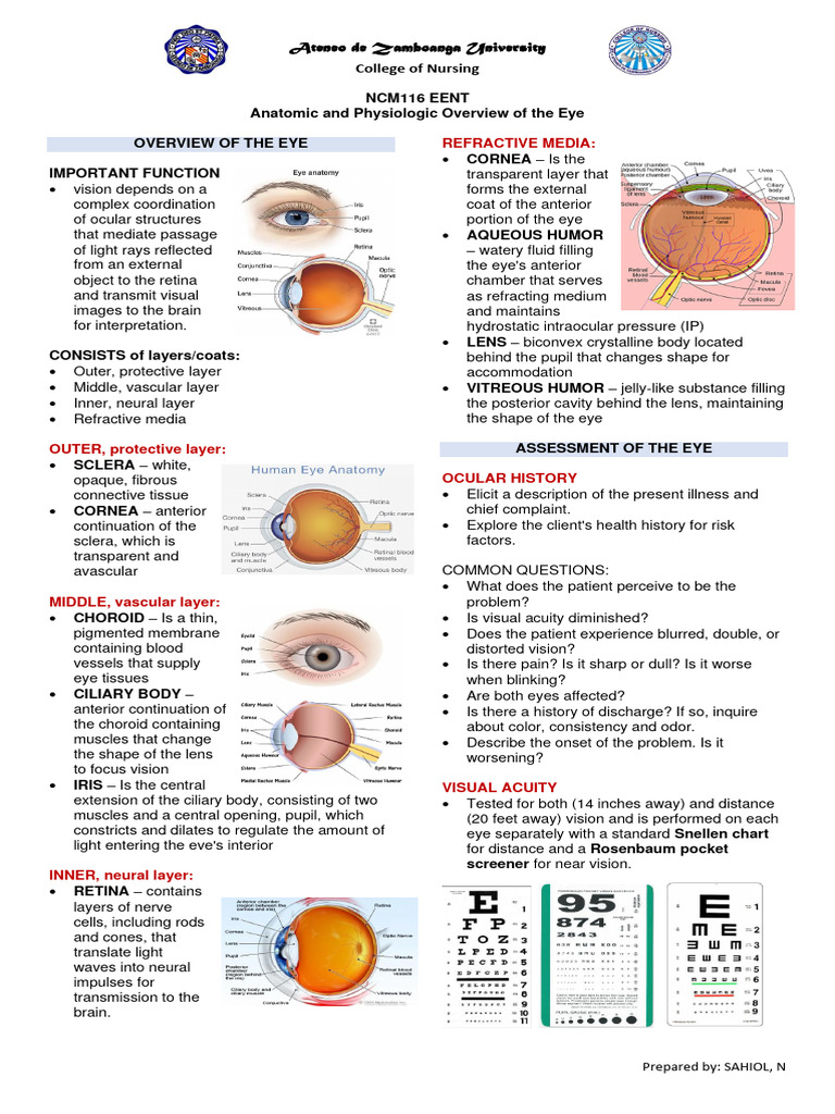Eent Handouts 1 | PDF | Human Eye | Glaucoma