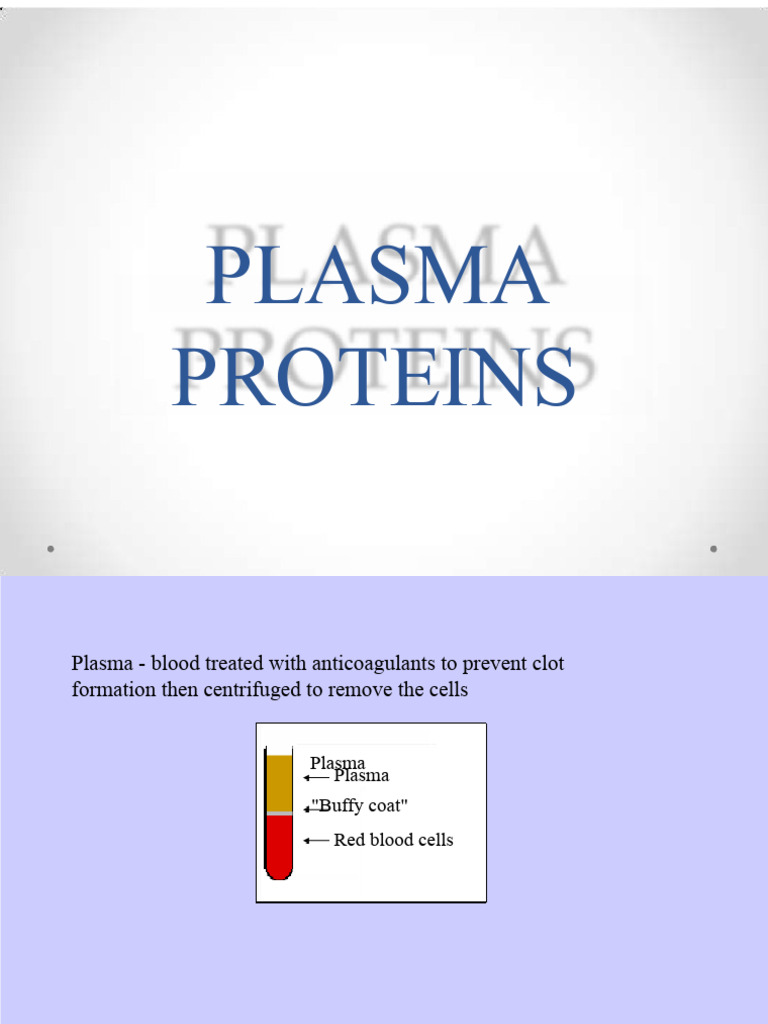 Lecture 4 - Protein & Plasma Protein | PDF | Blood Plasma | Proteins