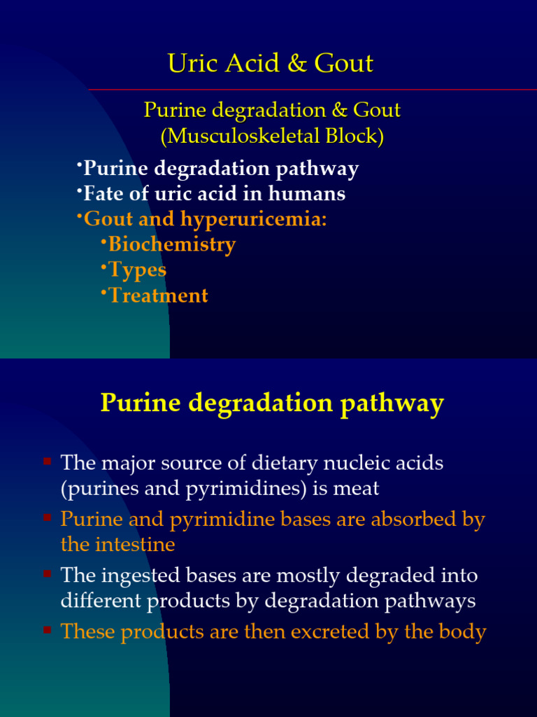 Uric Acid Metabolism and Gout Treatment | PDF | Gout