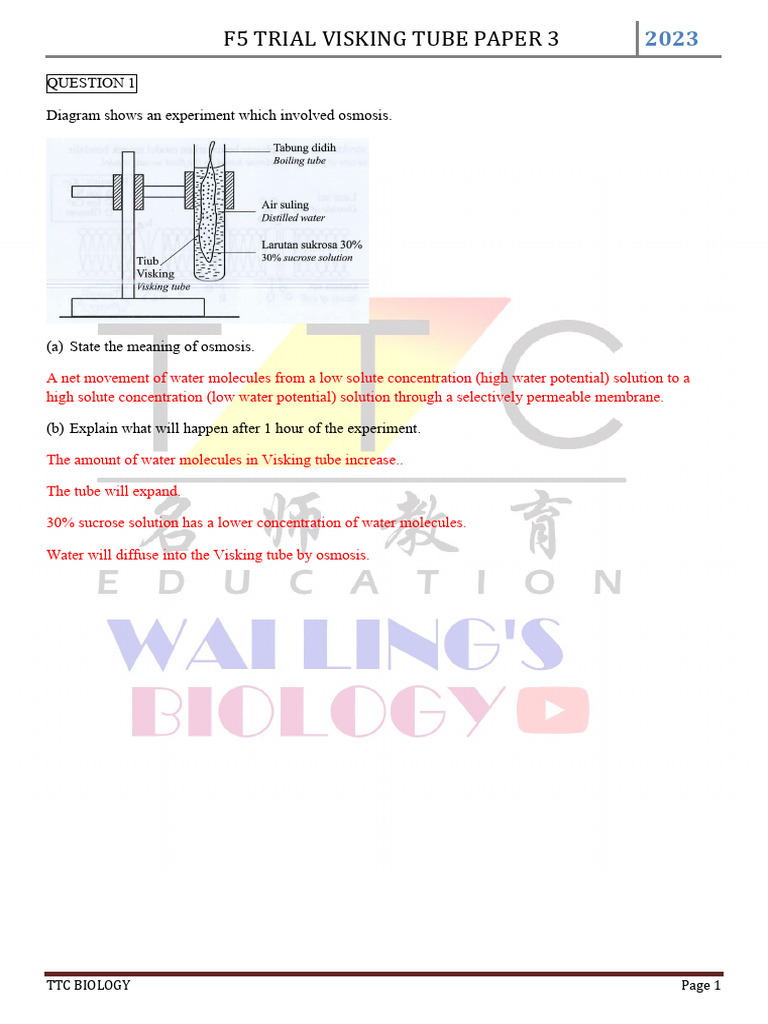 Visking Tubing Experiment | PDF | Osmosis | Cell Membrane