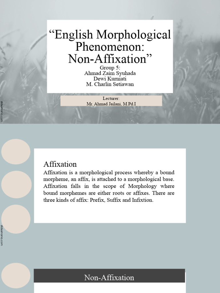 Non-Affixation New | PDF | Morphology (Linguistics) | Word