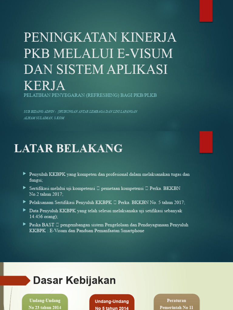 Penggunaan Sistem-Sistem Dan E-Visum | PDF