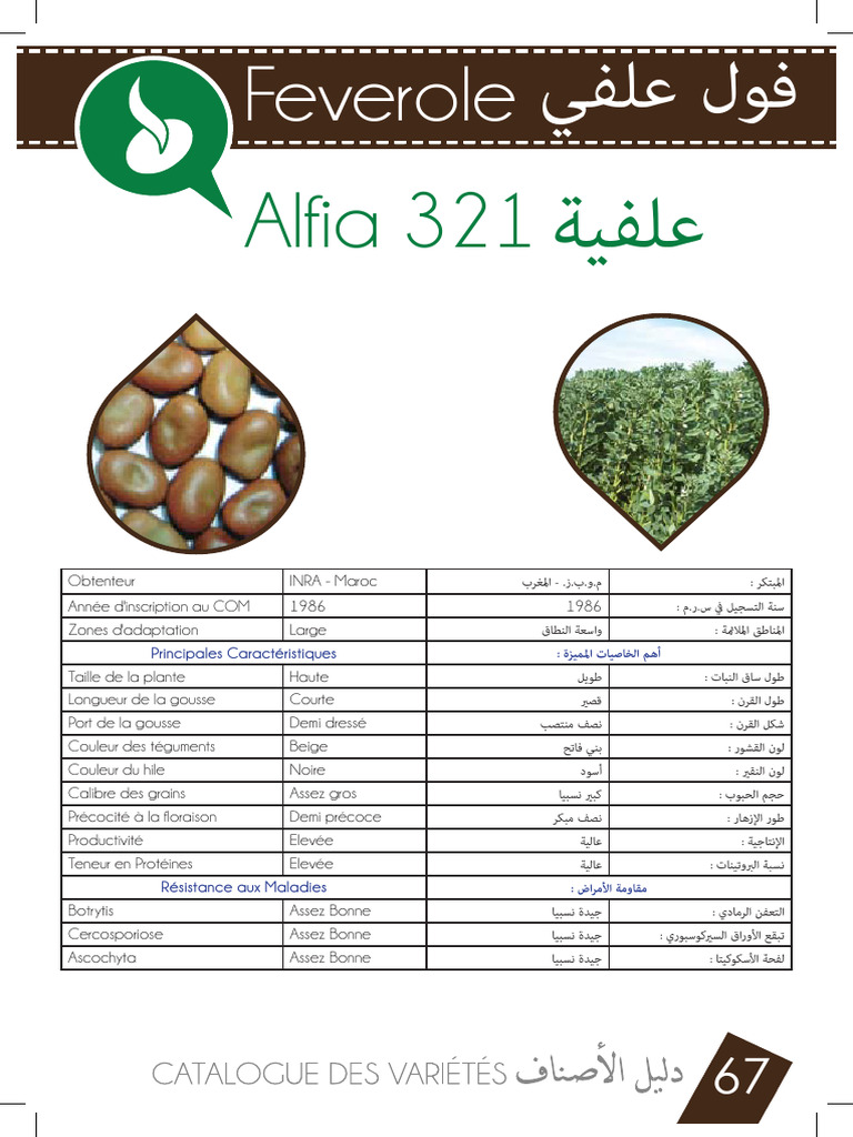 Fiche Alfia 321 | PDF