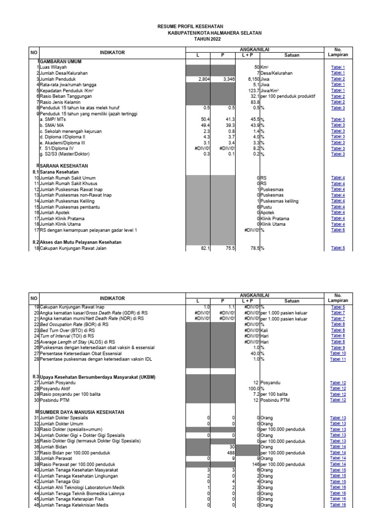 Lampiran Juknis Profil Kes 2022 | PDF