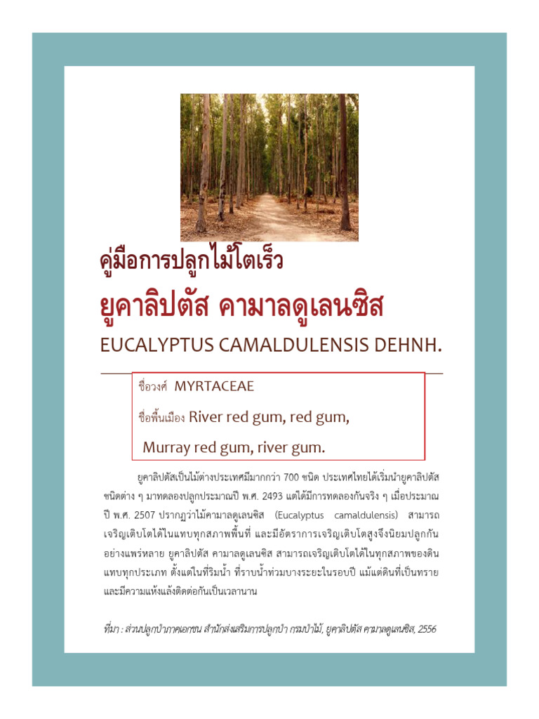 Euca Manual | PDF