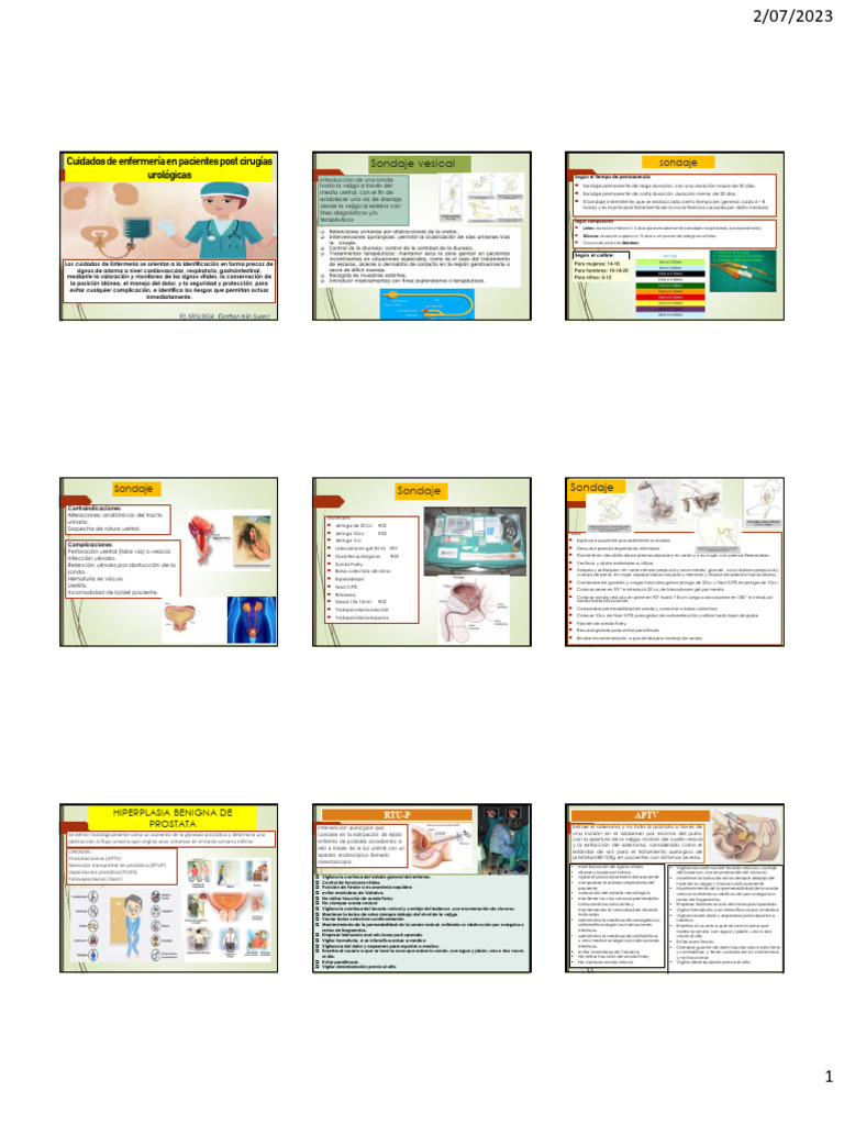 Expocion 01 CX General | PDF | Urología | Especialidades Medicas