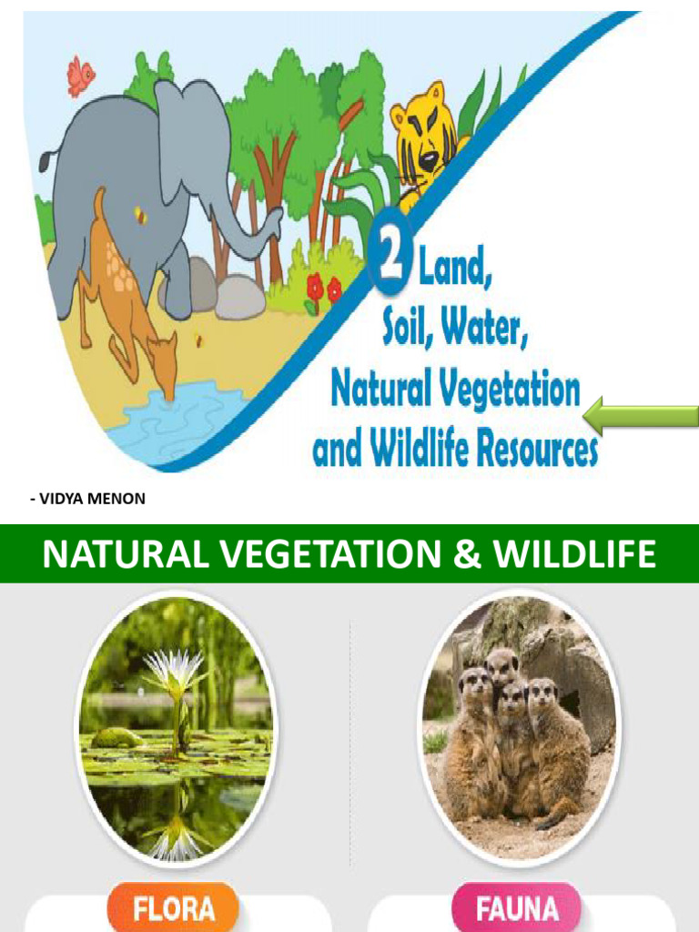 G-2 NATURAL VEGETATION & WILDLIFE WITH Question Bank | PDF ...