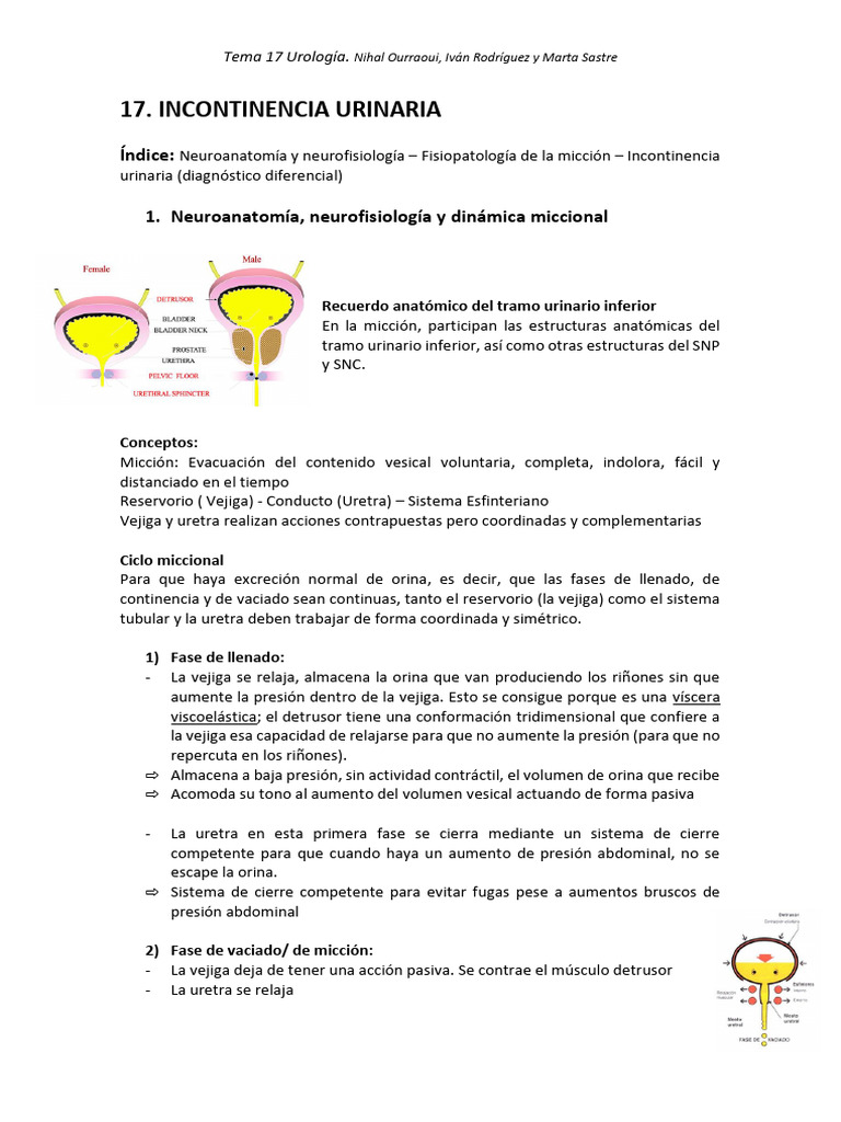 Incontinencia Urinaria 2 | PDF | Micción | Urología