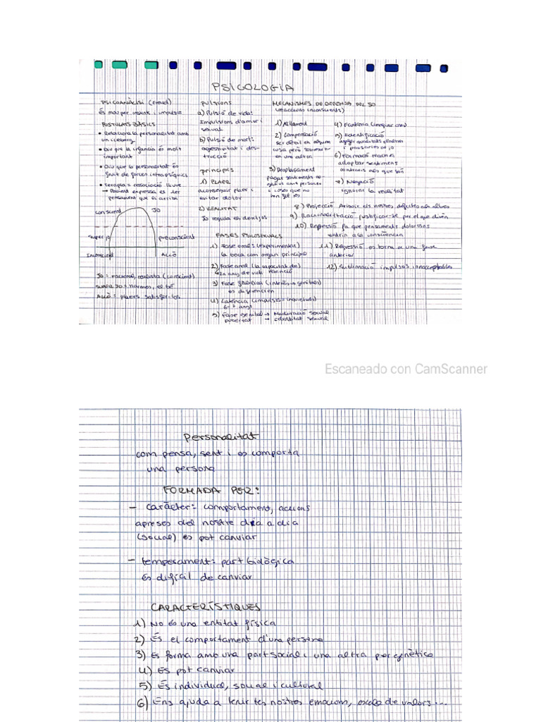 Marta Palmero - ESQUEMA-RESUM | PDF