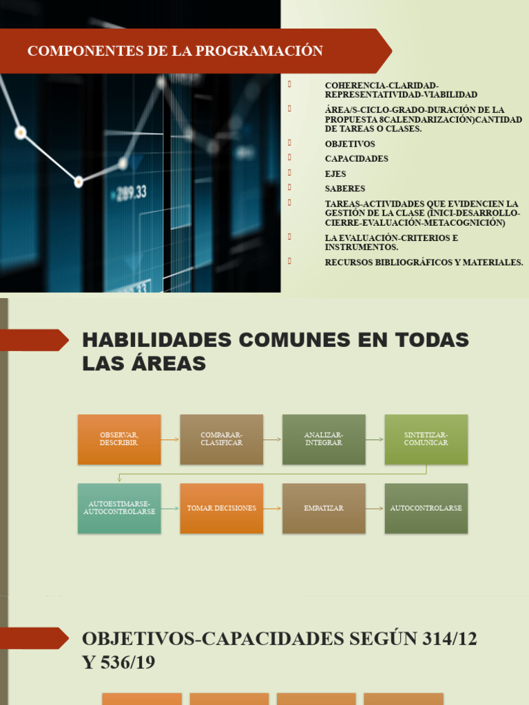 Componentes de La Programación Según Las Resoluciones Pep Tigre | PDF ...
