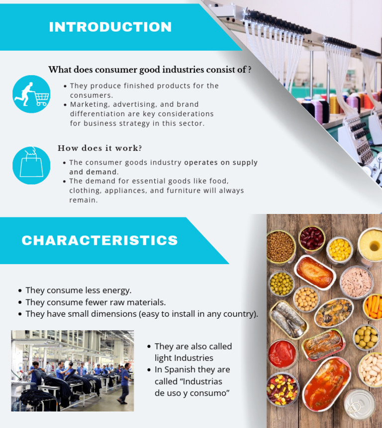 Consumer Good Industries | PDF