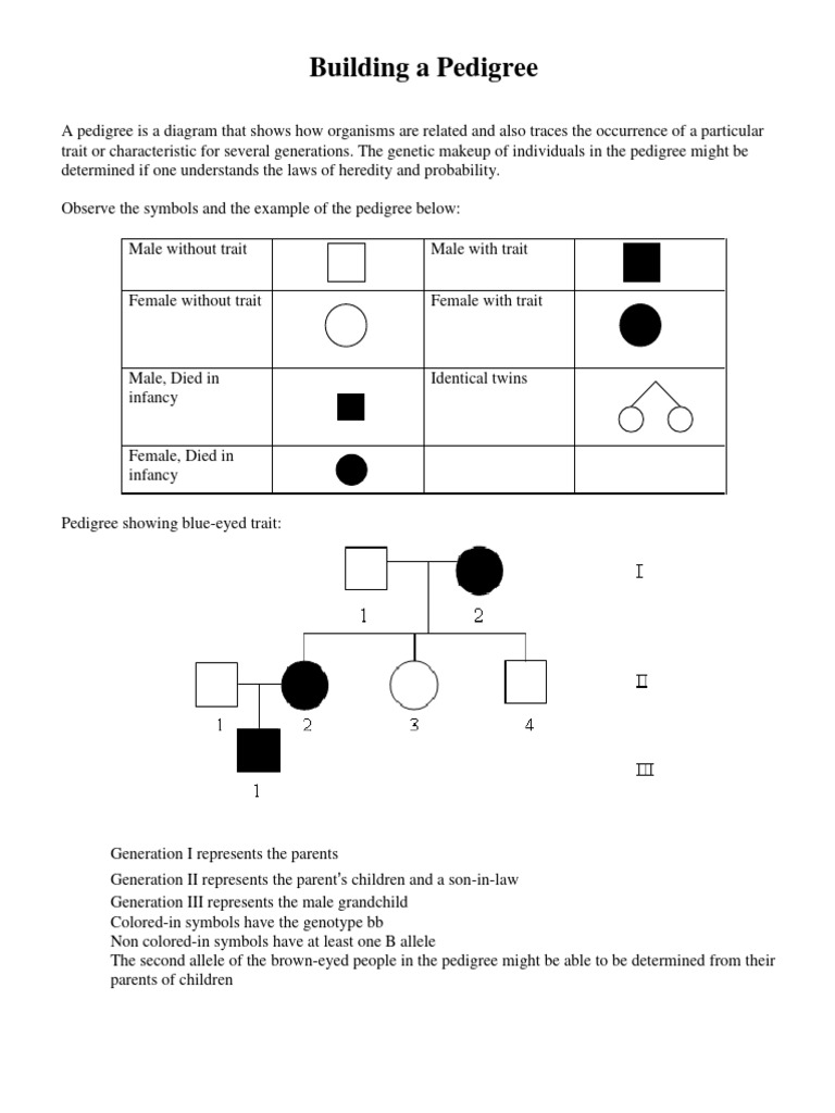 Harry Potter Pedigrees | Download Free PDF | Genotype | Dominance ...