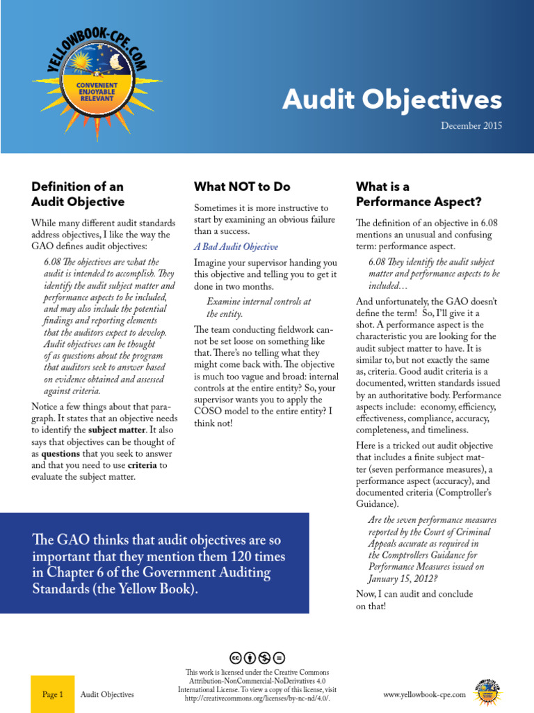 Understanding Audit Objectives Explained | PDF | Audit | Accounting