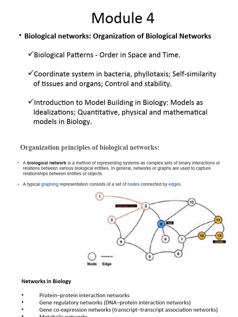 Module 4 Complete | PDF | Kidney | Leaf
