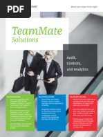 Annex 1.1 Teammate Principles Guidelines | PDF | Audit | Computer File