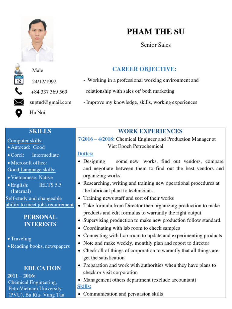 Pham The Su CV - Senior Sales | PDF | Economies | Business