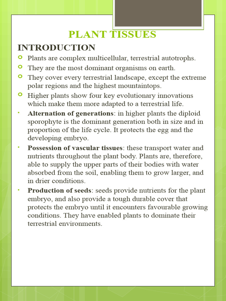Premed I - Plant Biology Notes 2022 IV - Plant Tissues | PDF | Root ...