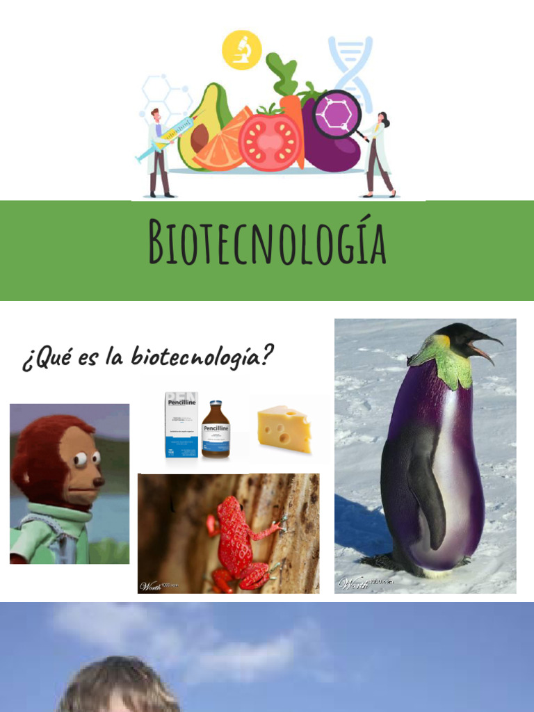Biotecnología: Clásica y Moderna Explicadas | PDF | Organismo ...