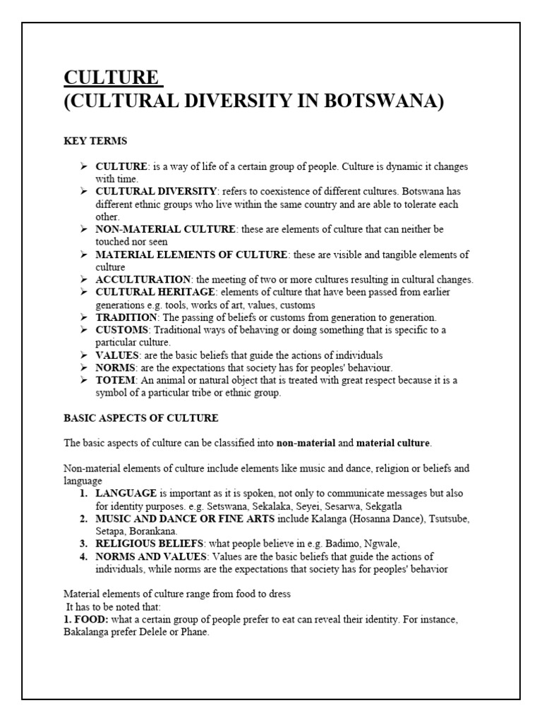 Understanding Botswana's Cultural Diversity | PDF | Family | Identity ...