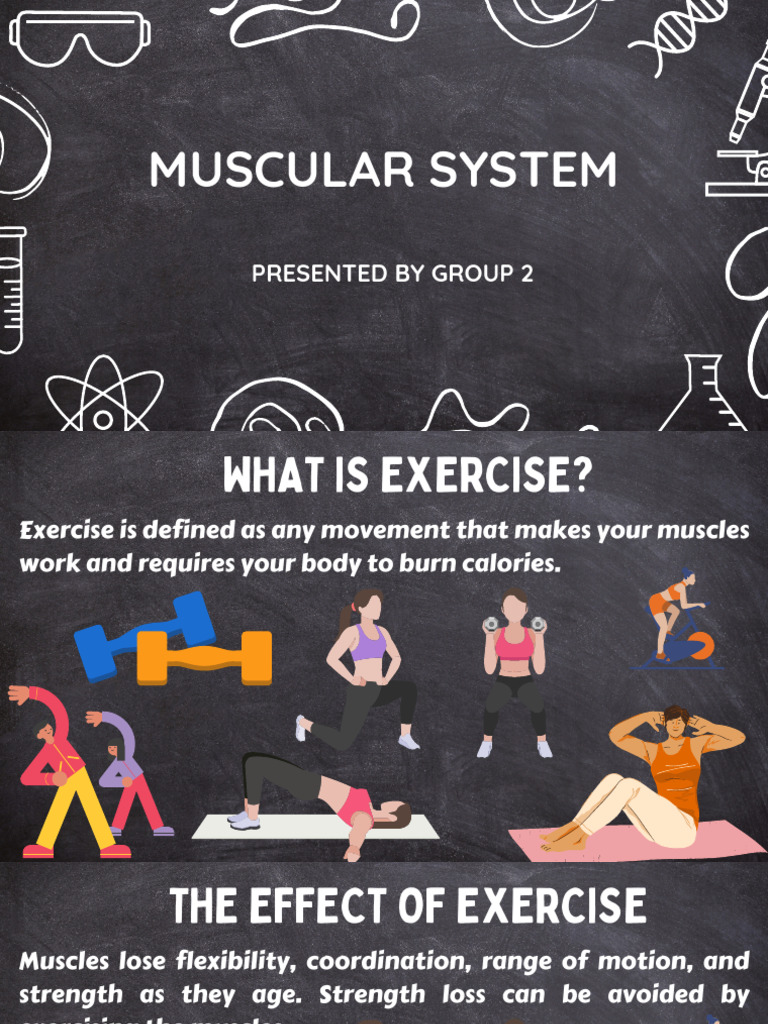 MUSCULAR-SYSTEM-1 | PDF | Muscle | Skeletal Muscle
