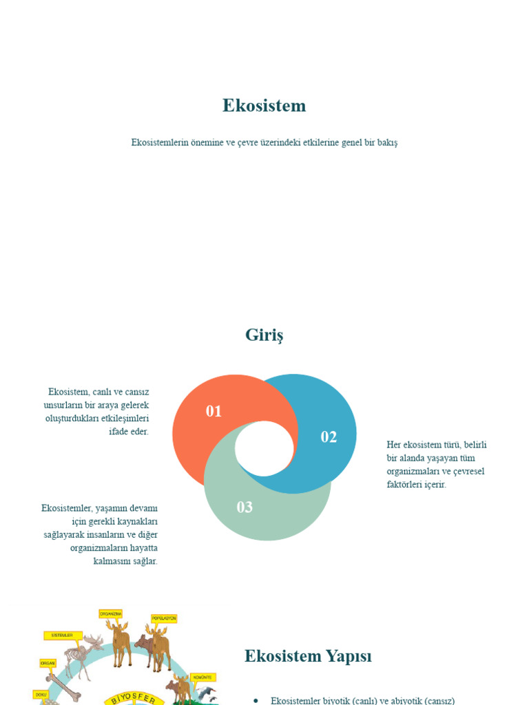 Ekosistem Ekolojisi Pdf