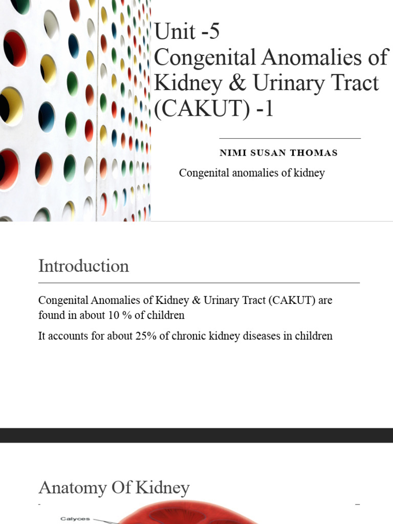 Congenital Anomalies of Kidney | PDF | Kidney | Genitourinary System