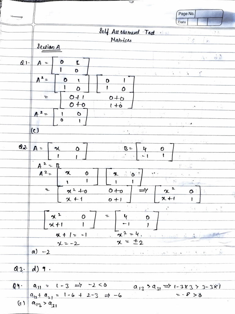 Maths Self Assessment Test-Matrices | PDF
