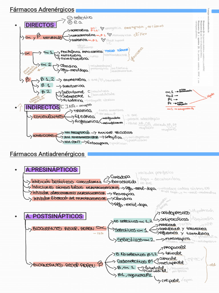 Esquemas Fármacos - 240626 - 184828 | PDF