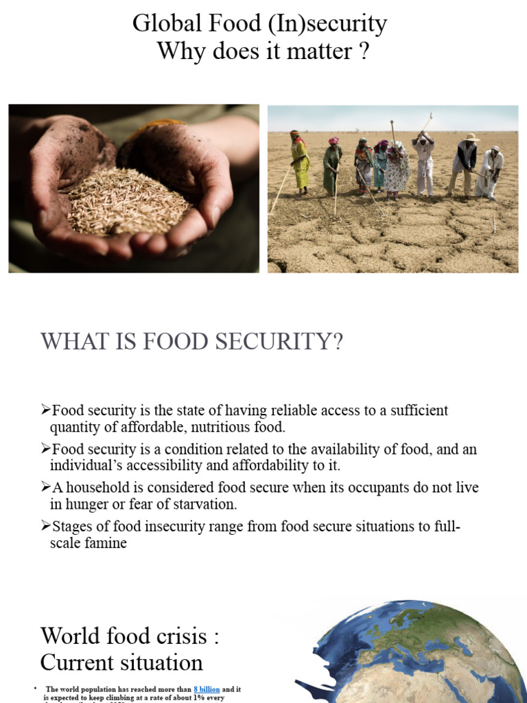 Global Food Insecurity: Causes & Impact | PDF | Food Security | Famine