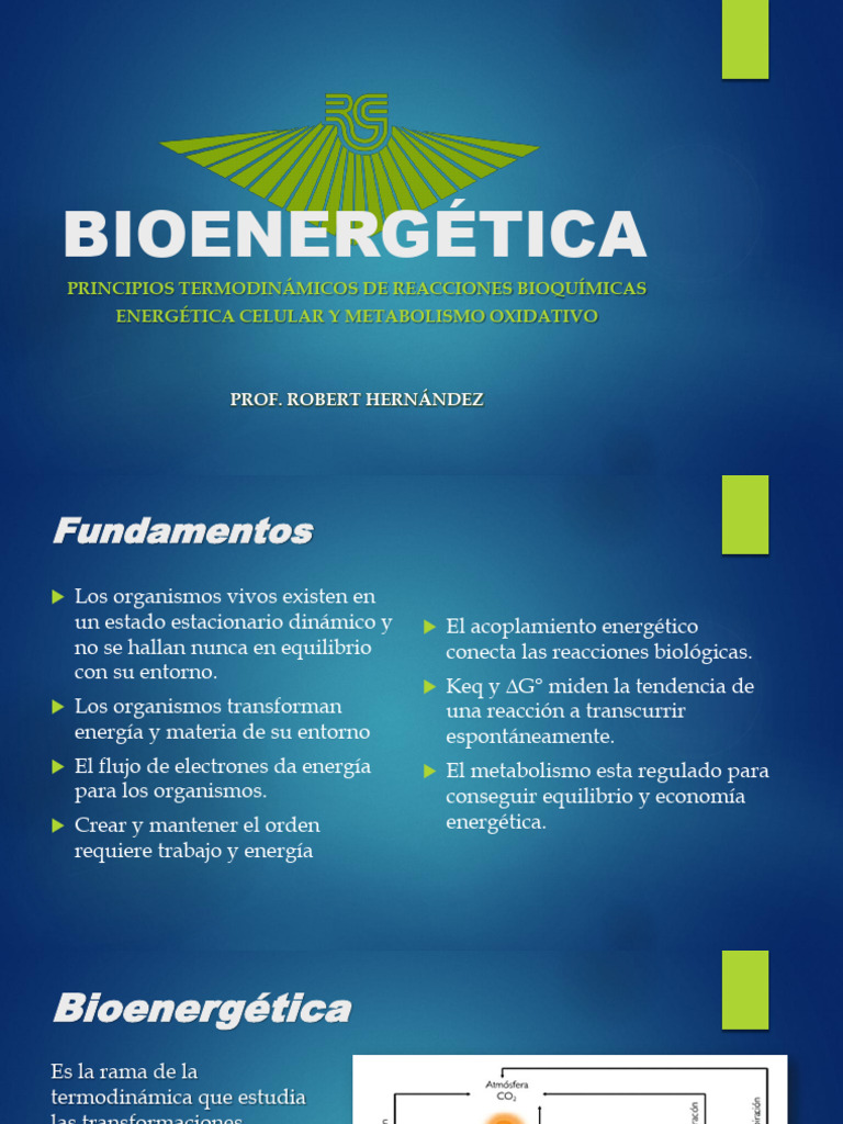 BIOENERGÉTICA | PDF | Entalpía | Redox