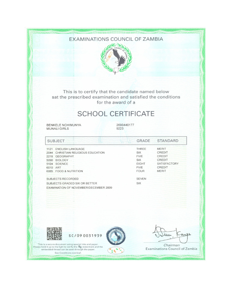 Benkele N - School Certificate | PDF