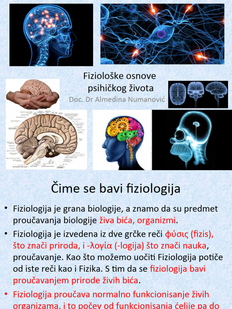 1 Fizioloske Osnove Psihickog Zivota | PDF
