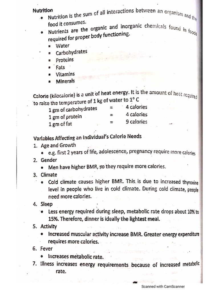 Nutrition Lecture | PDF
