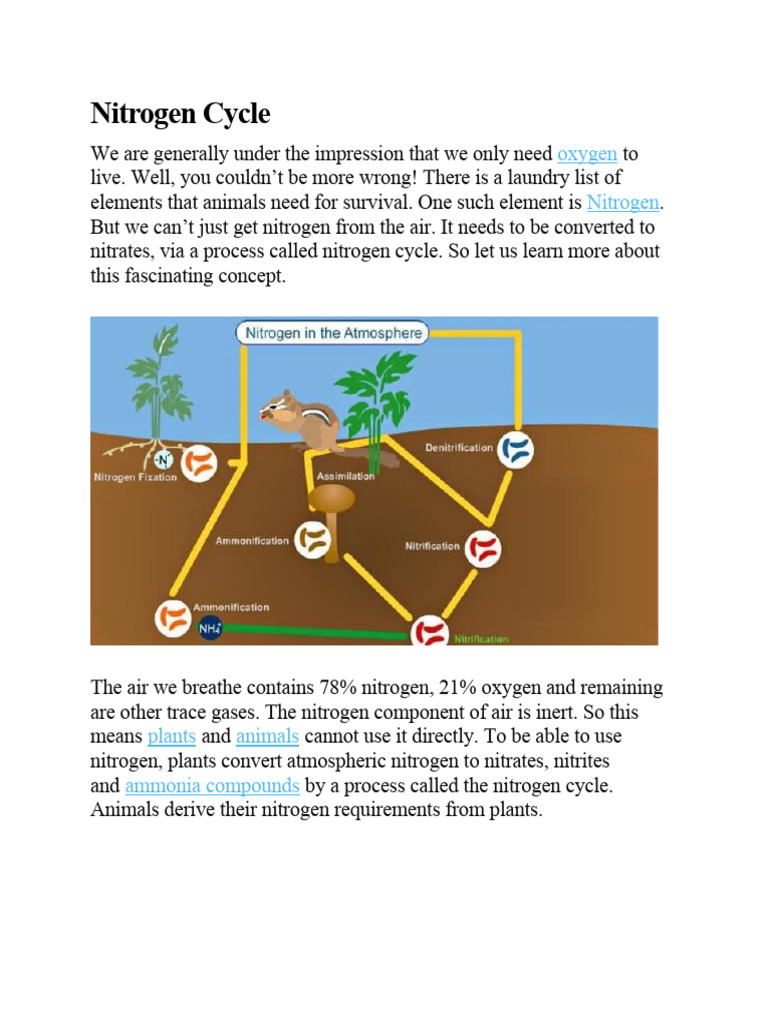 Nitrogen Cycle | PDF | Nitrogen | Biology