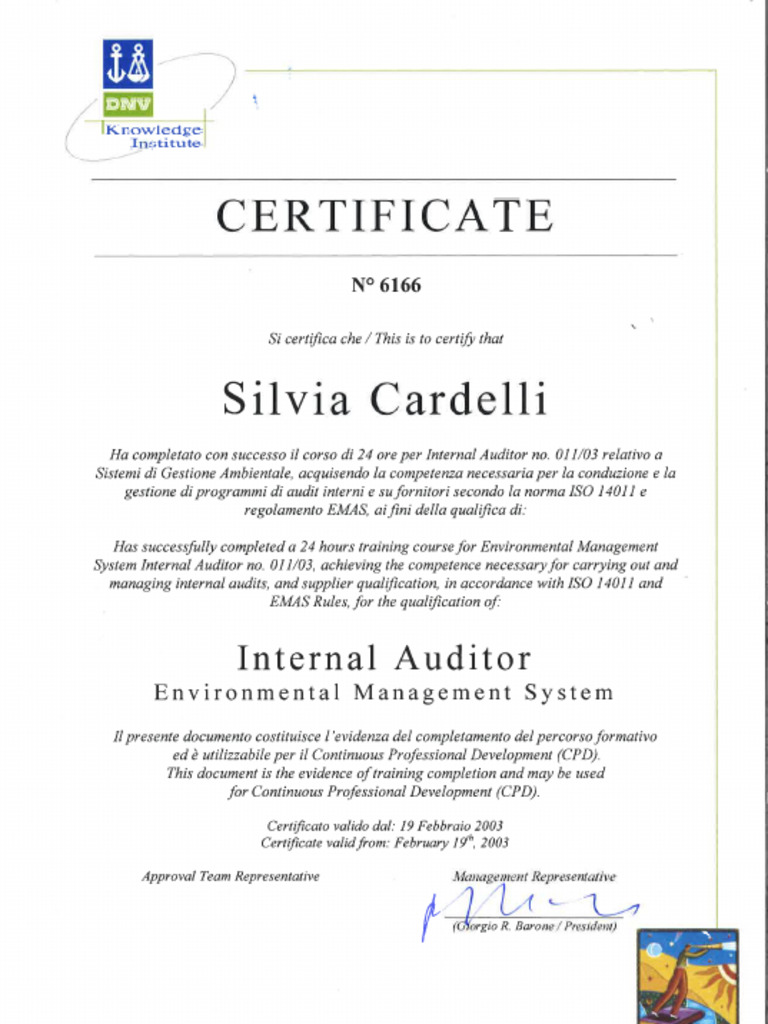 DNV Internal Auditor 2003 | PDF