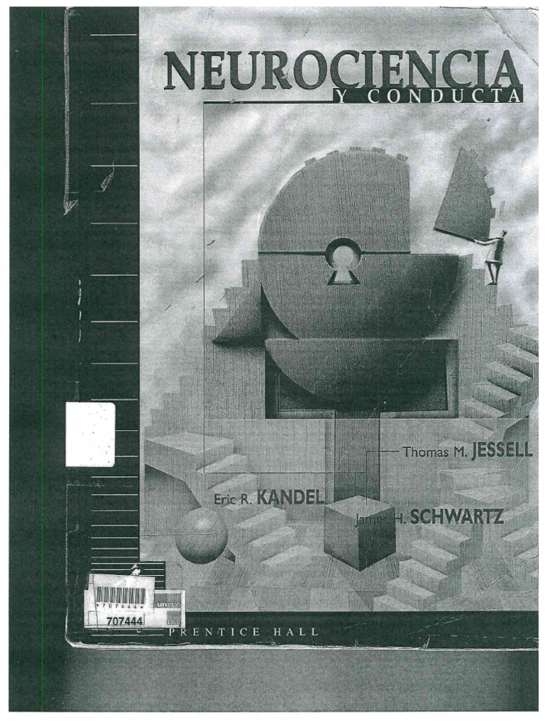 Kandel - Neurociencia y Conducta | PDF