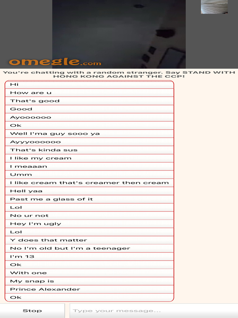 Omegle Talk To Strangers! | PDF