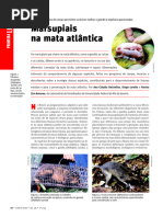 Vombate: Cocô em Forma de Cubo | PDF