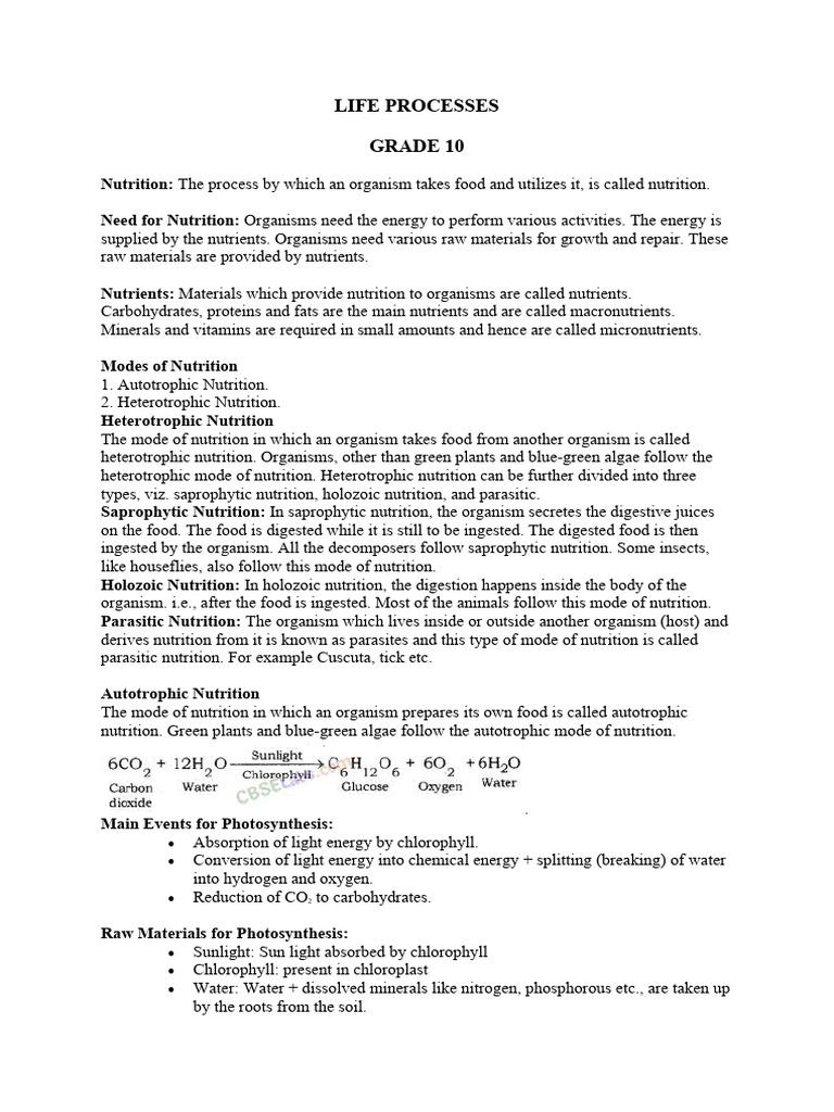 Life Processes Notes | PDF | Heart | Heart Valve